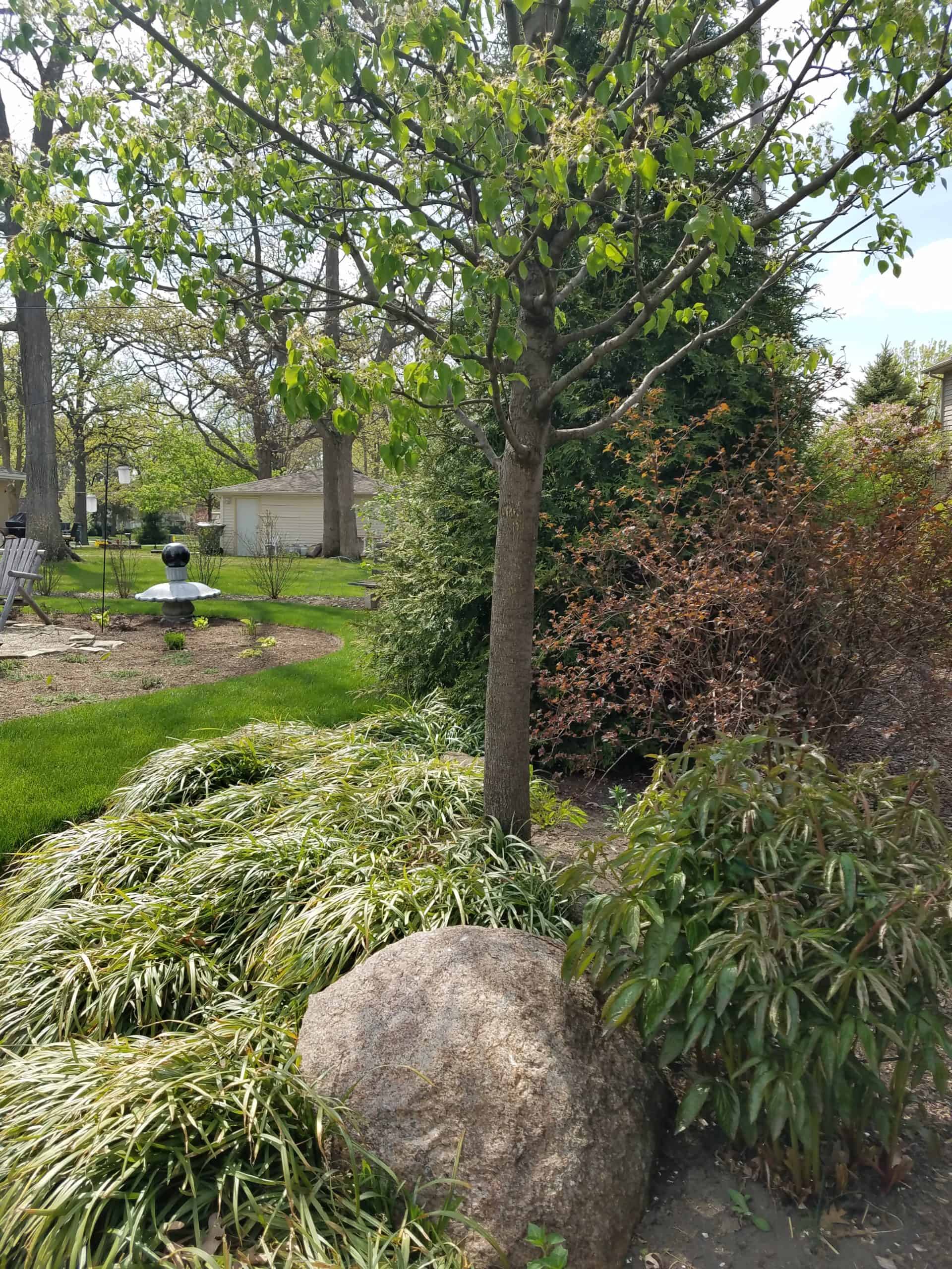 Rock On! Using Boulders in the Landscape - Sweeney's Custom Landscaping Inc